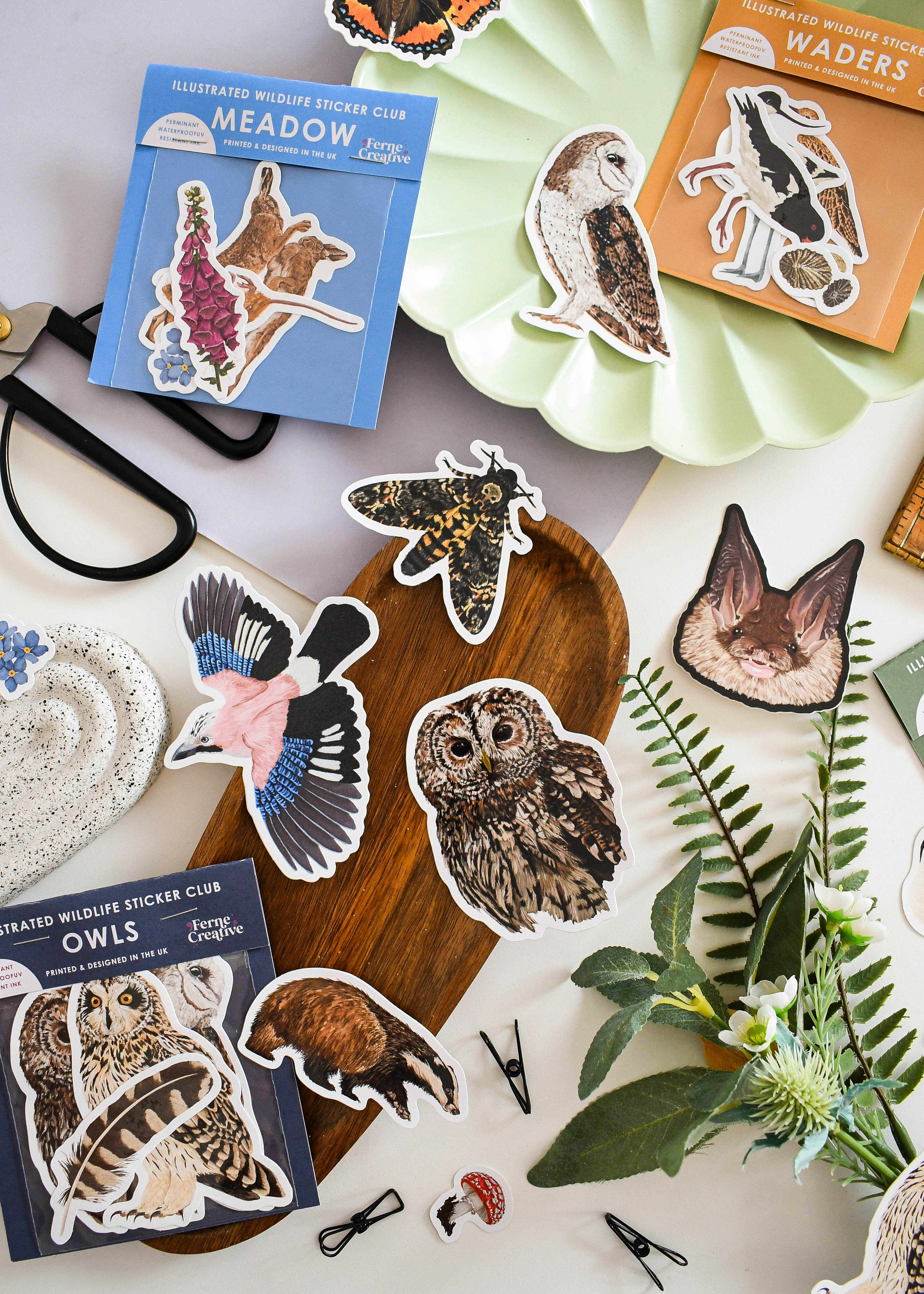 Wildlife Sticker Club – Ferne Creative