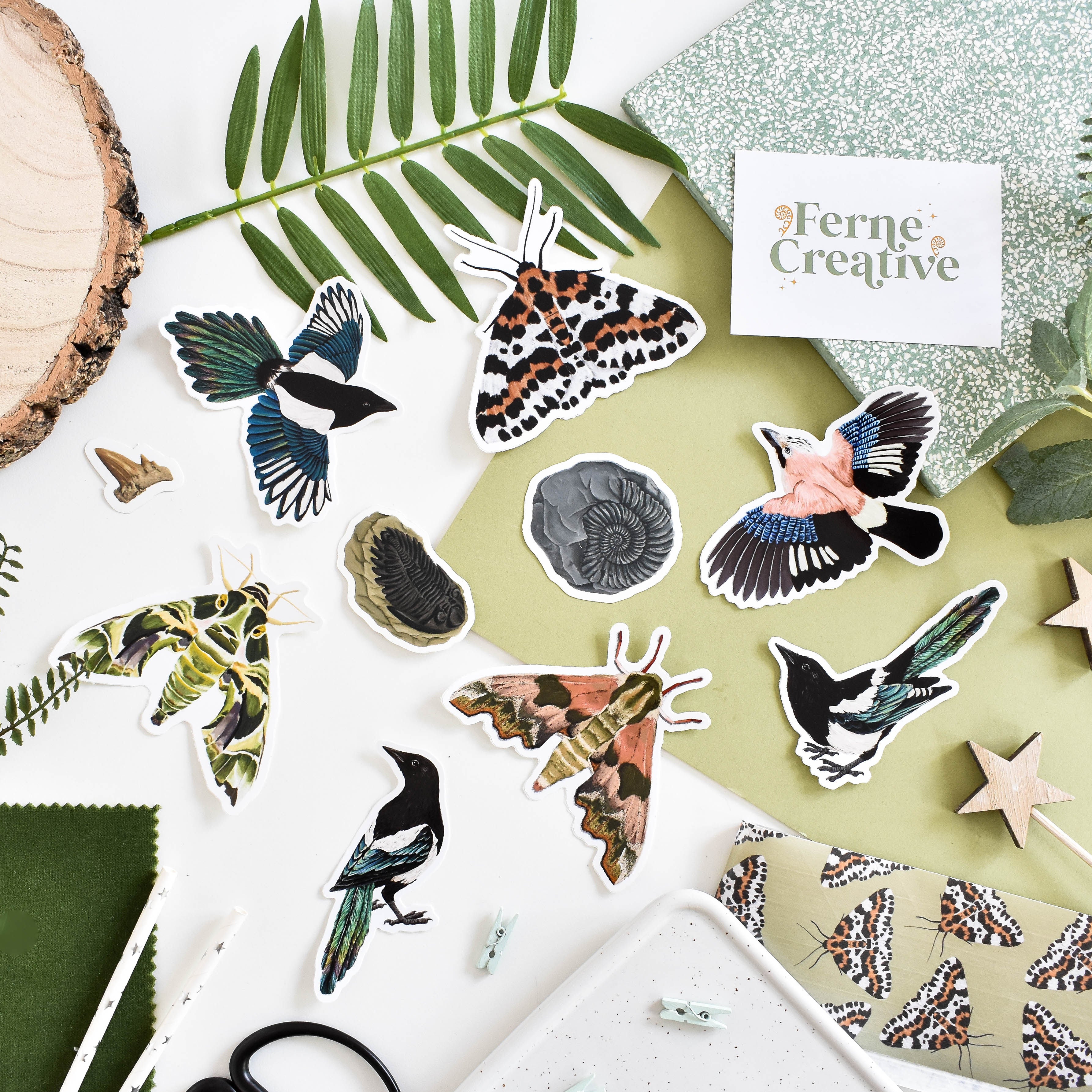 Individual Wildlife Sticker Collection – Ferne Creative