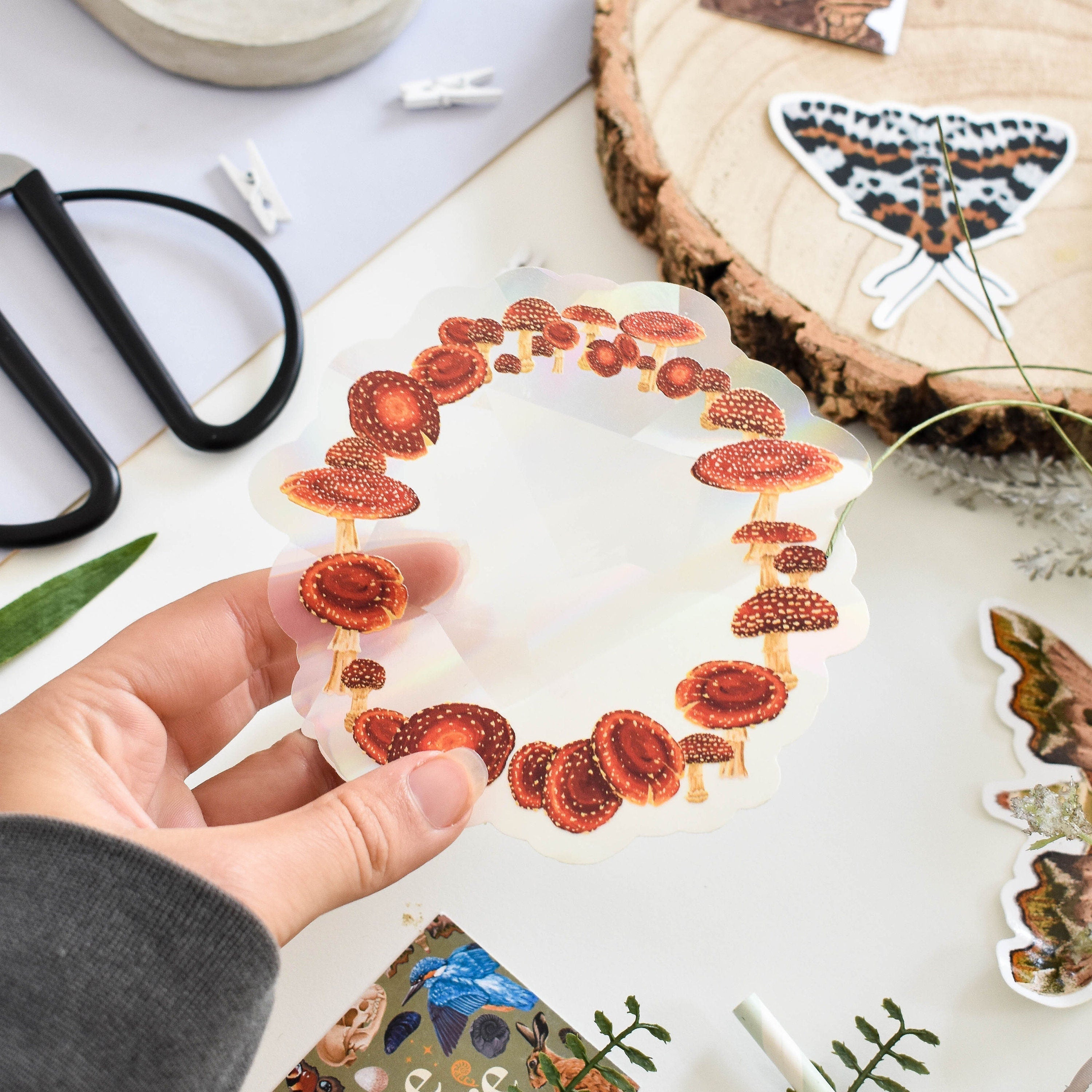Forager Gifts – Fungi Inspired Collection – Ferne Creative