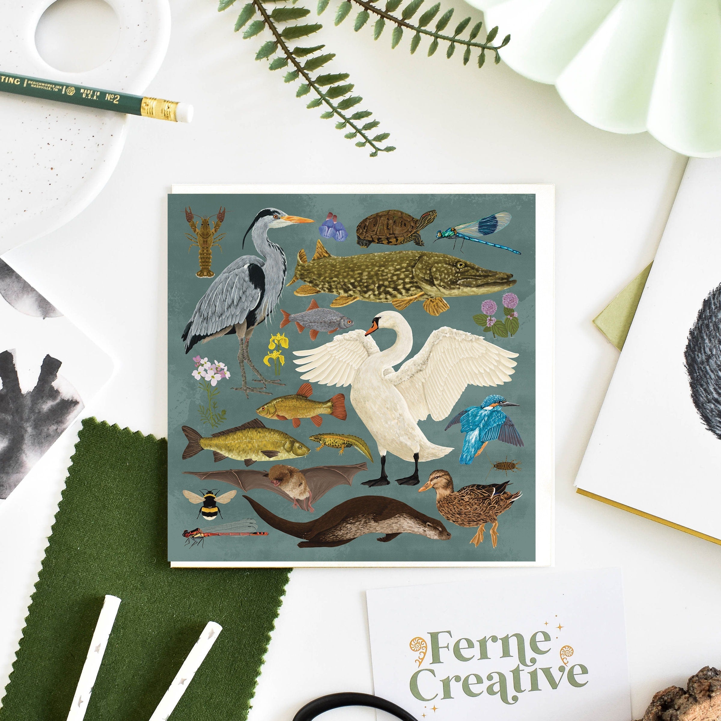 Habitat Card Collection – Illustrated British Wildlife – Ferne Creative