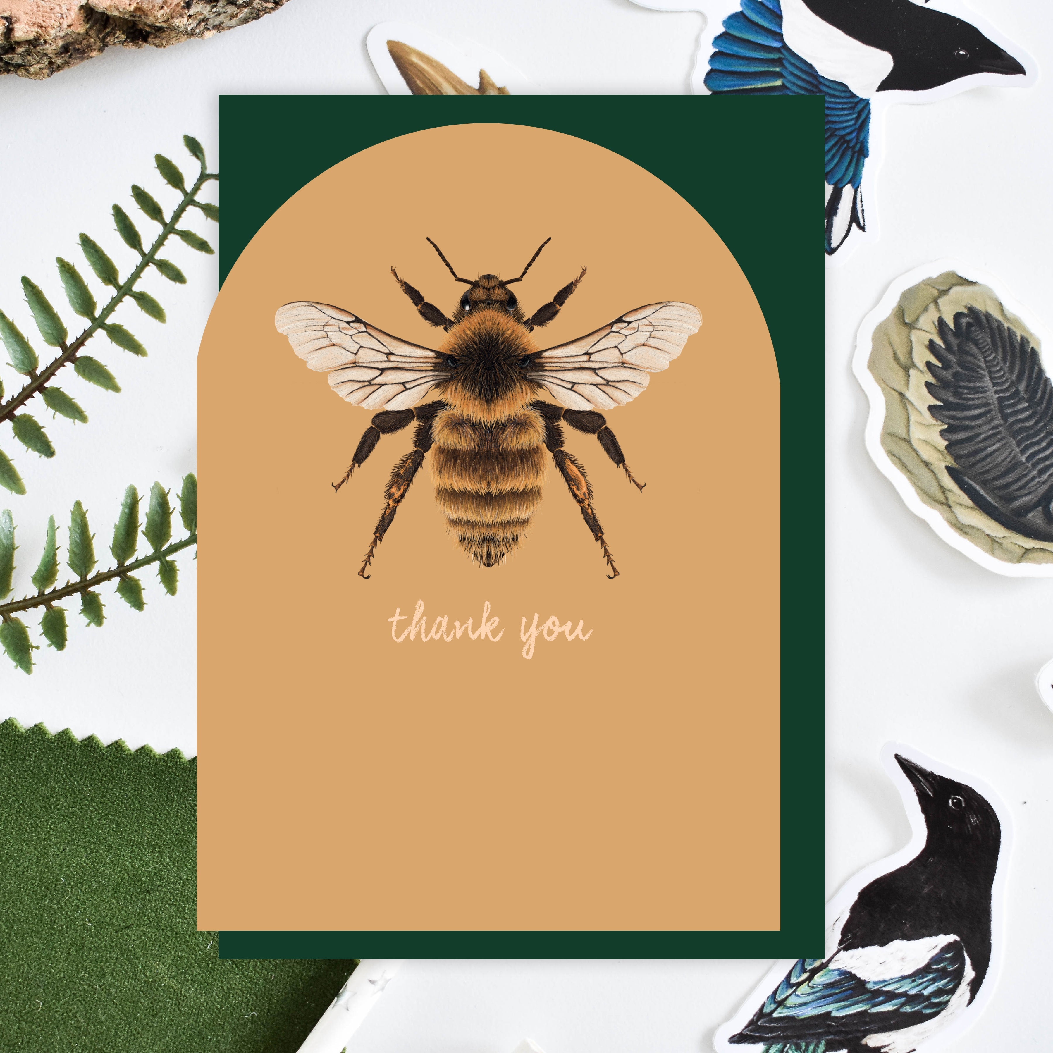 Thank You Cards – Illustrated with British Wildlife & Plants – Ferne ...
