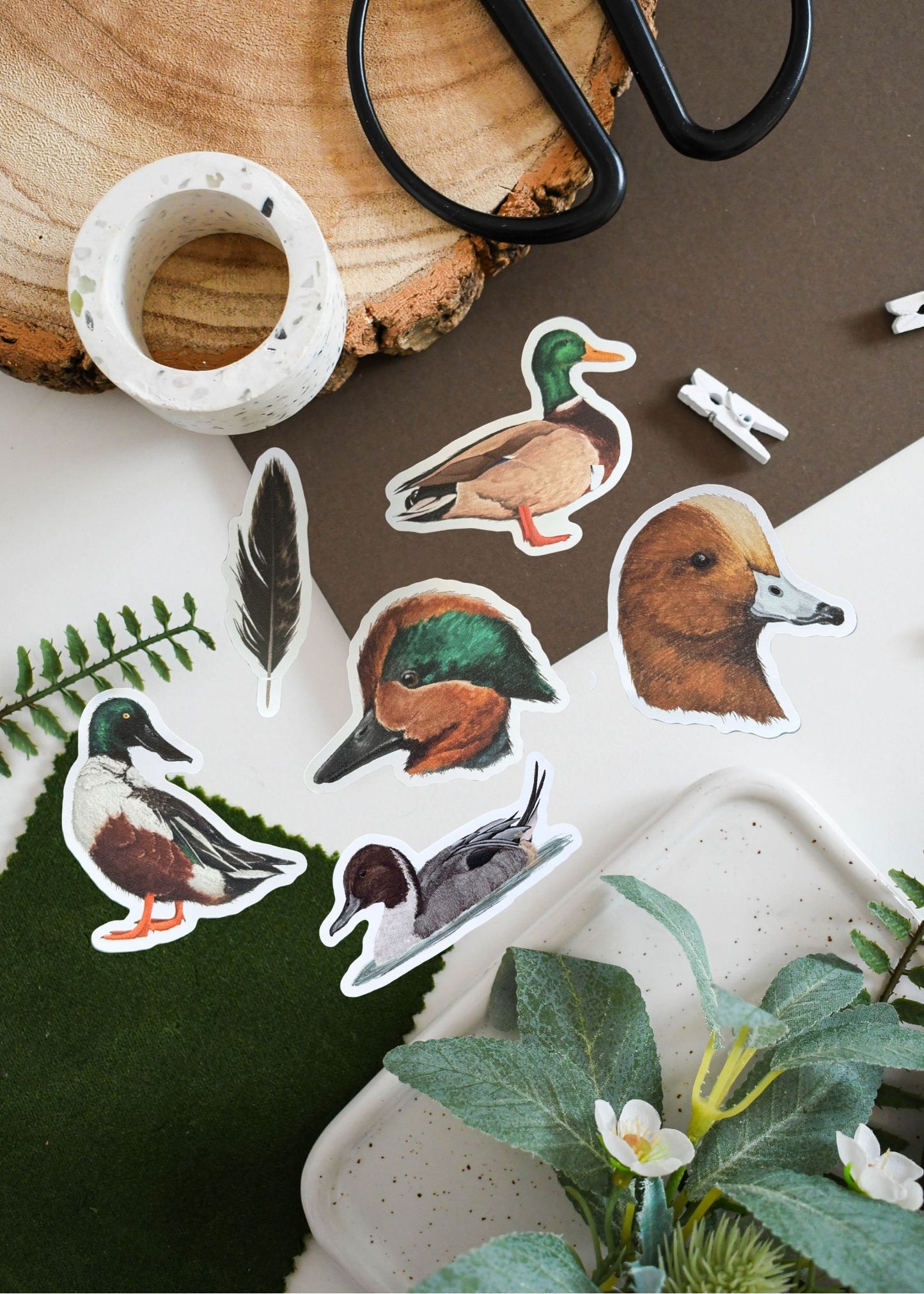 Dabbling Ducks Vinyl Sticker Pack – January 26 Edition – Ferne Creative