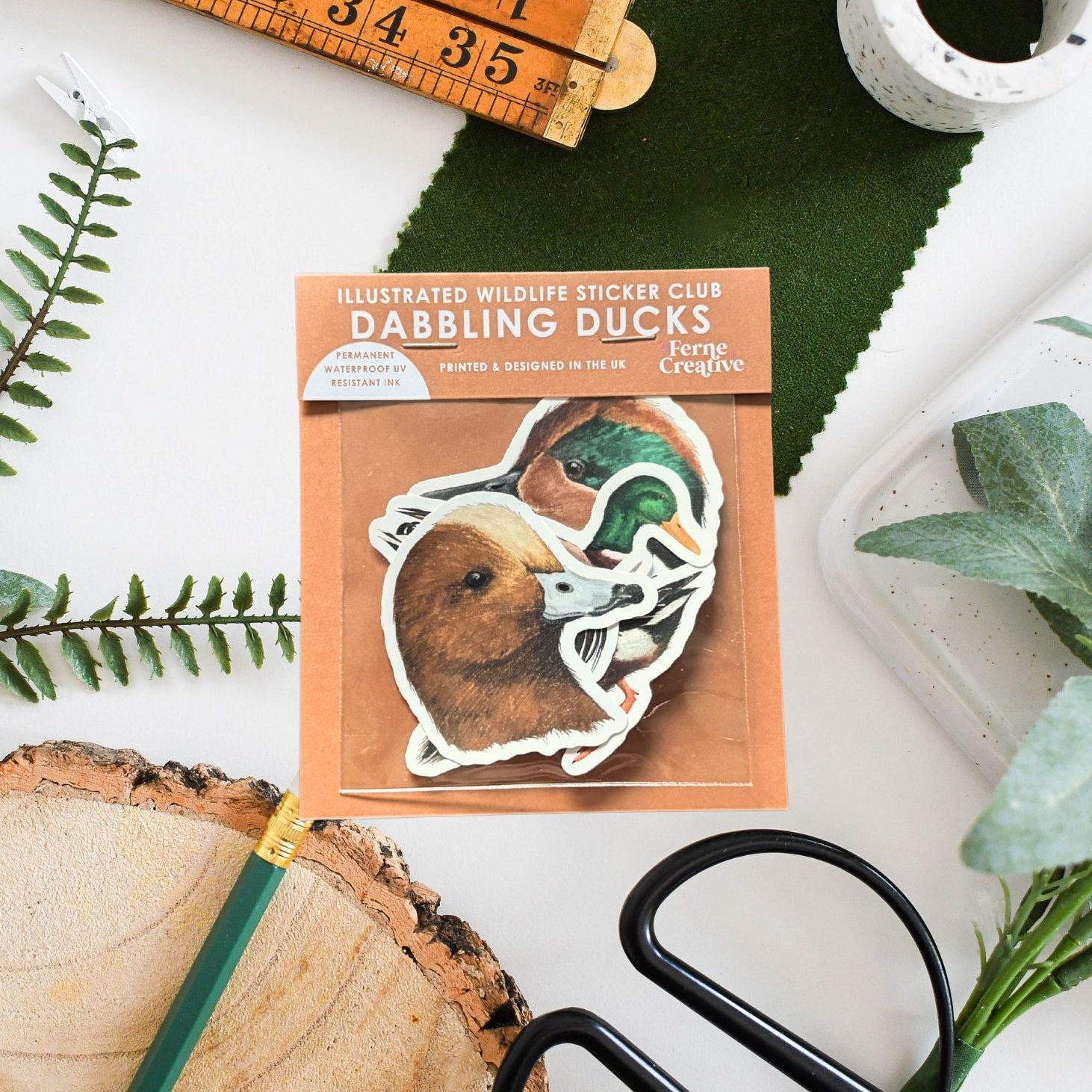 Dabbling Ducks Vinyl Sticker Pack – January 26 Edition – Ferne Creative