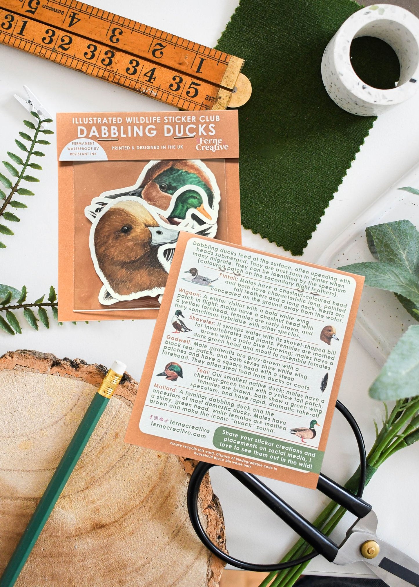 Dabbling Ducks Vinyl Sticker Pack – January 26 Edition – Ferne Creative