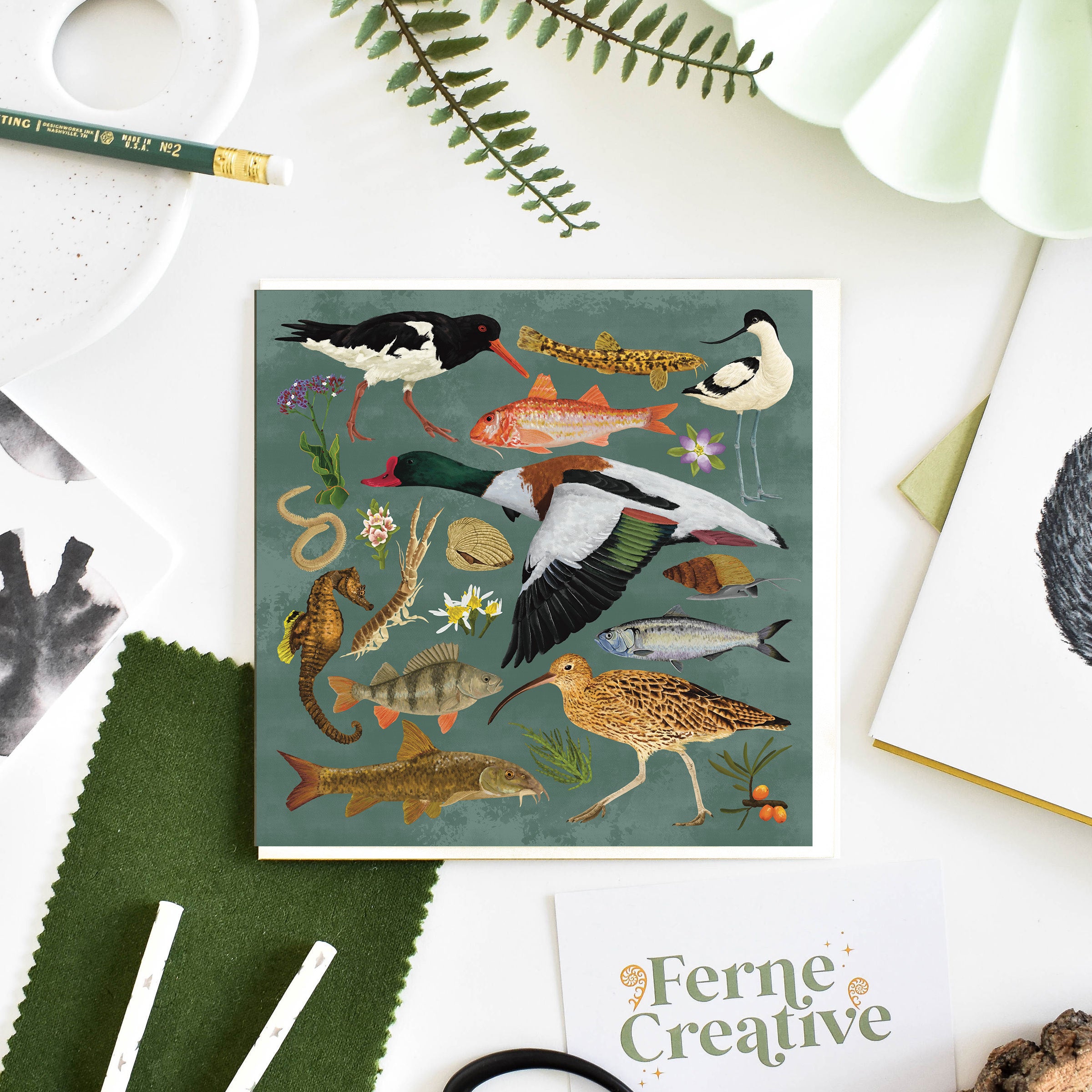Estuary Wildlife Illustrated Card – Ferne Creative