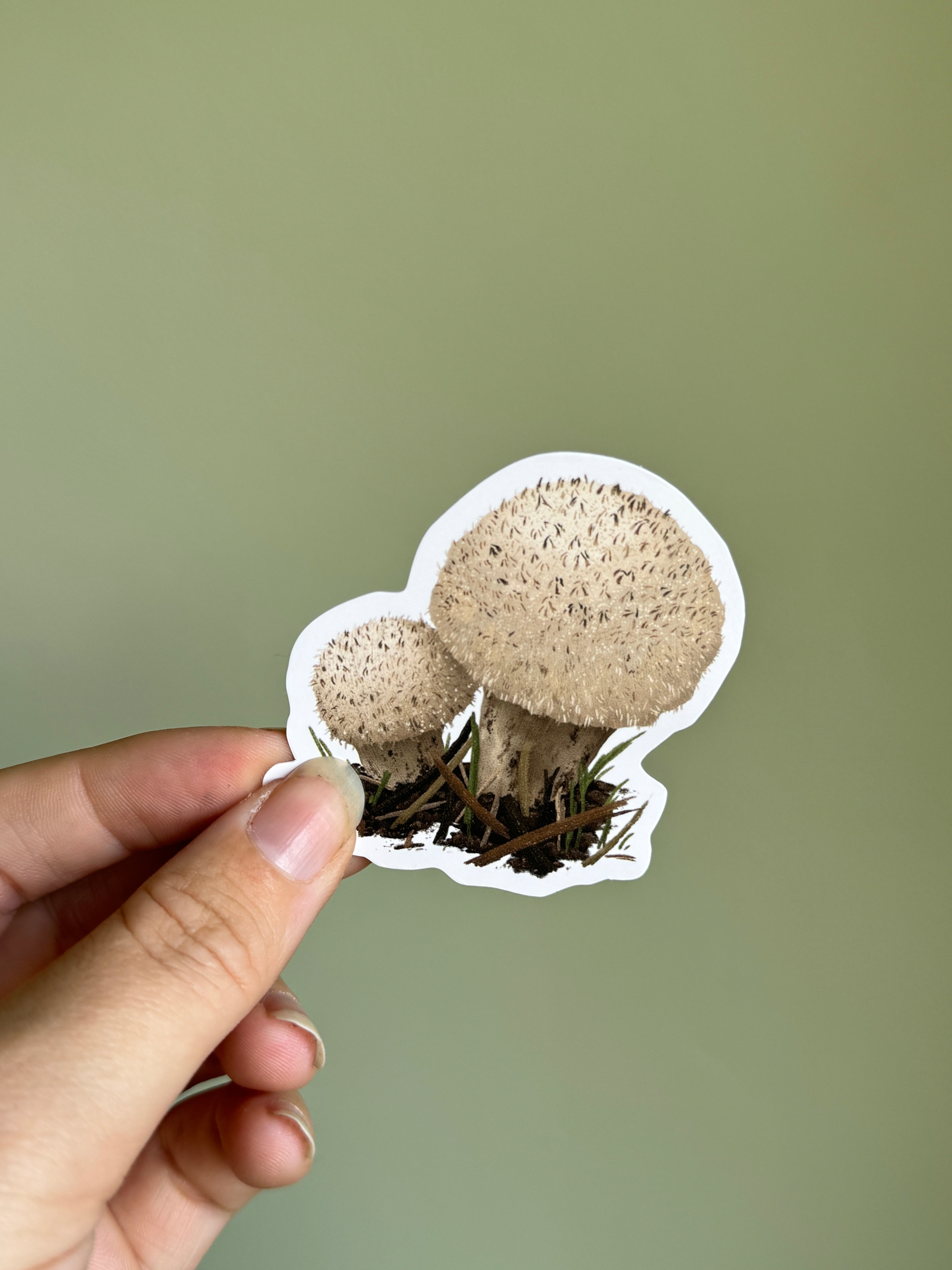 Puffball Mushroom Sticker – Ferne Creative
