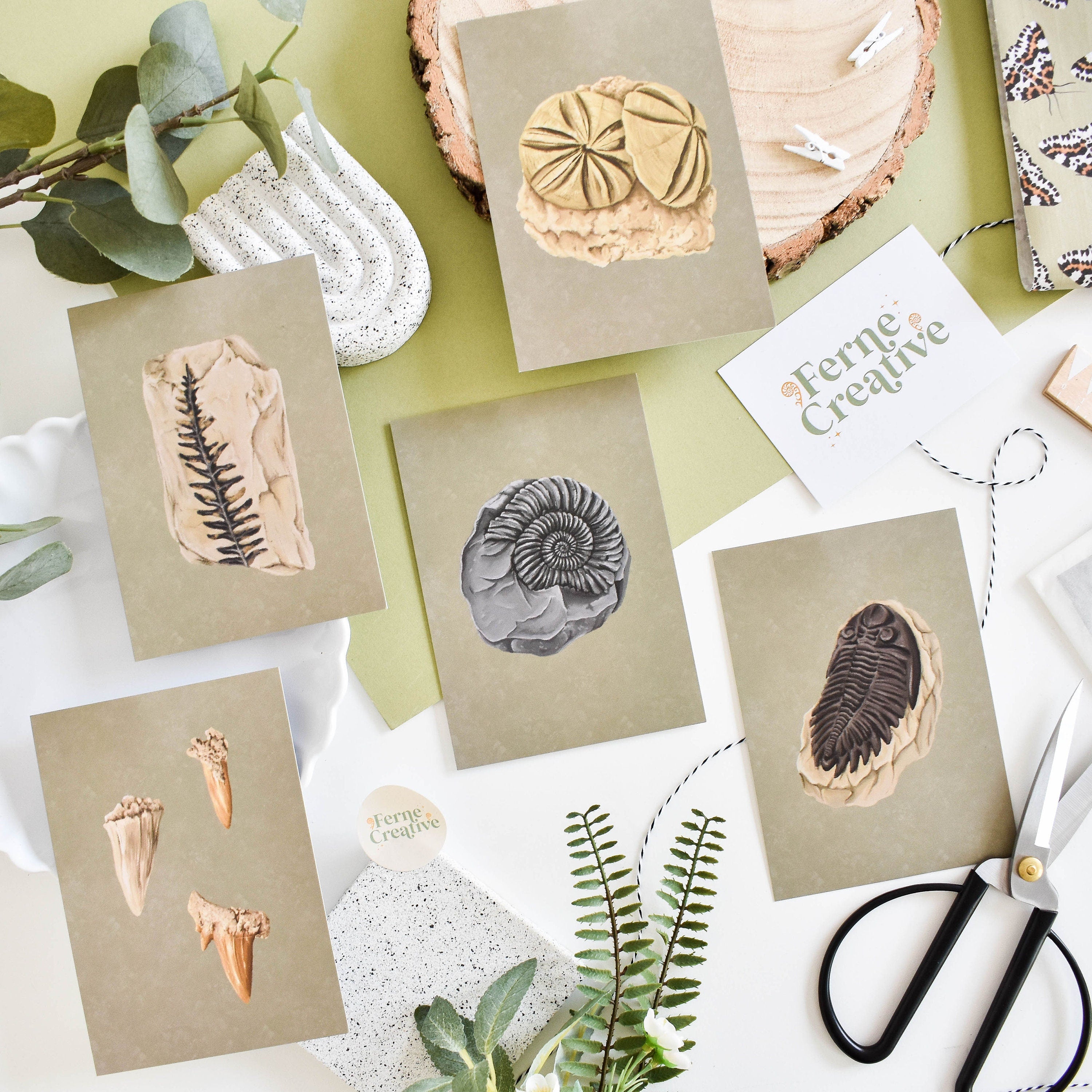 Seconds Illustrated Fossil Postcard Set – Ferne Creative