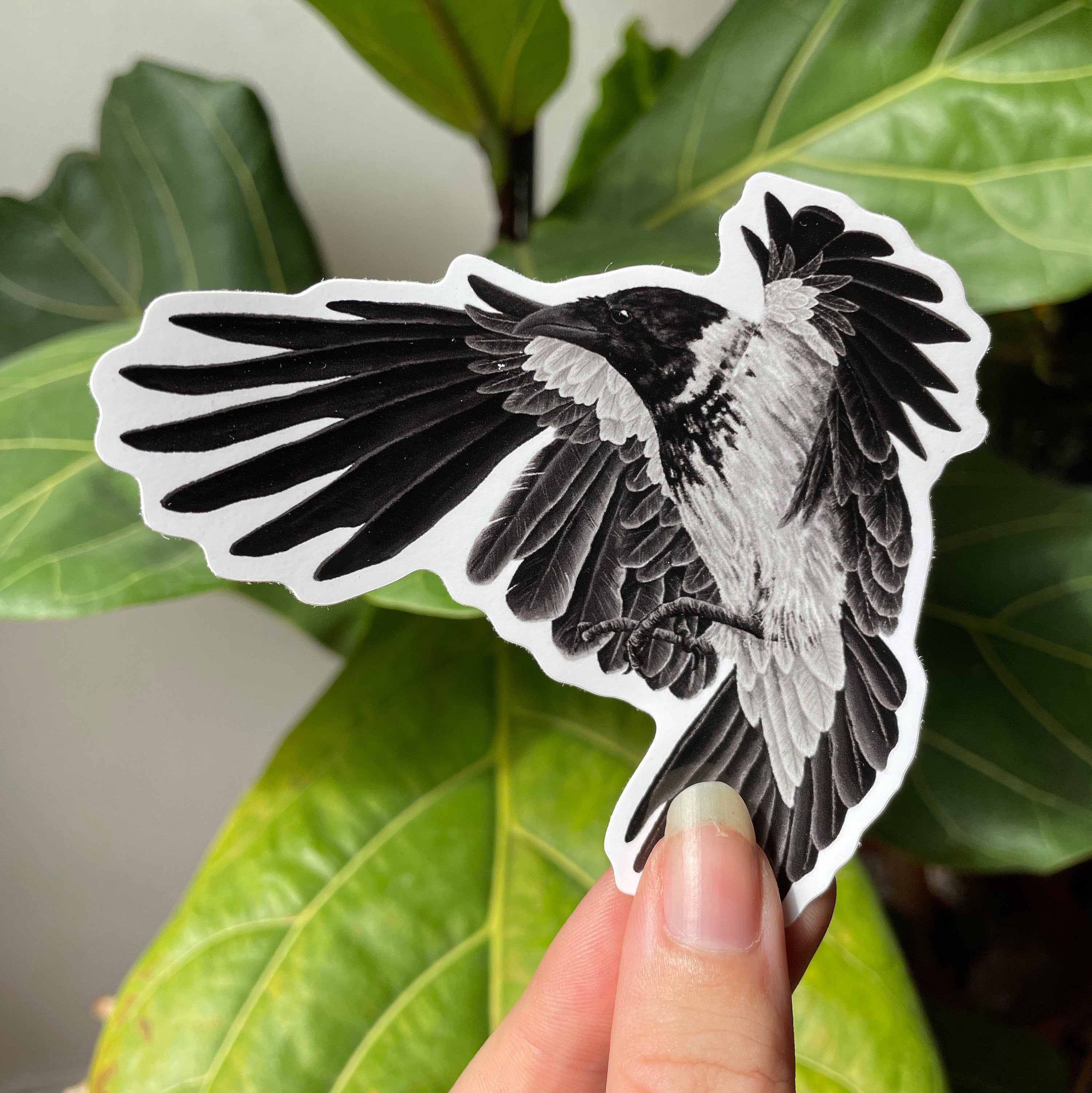 Hooded Crow Vinyl Sticker – Ferne Creative
